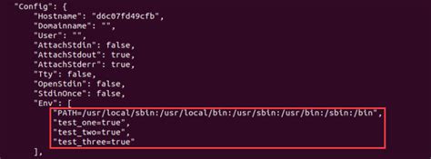 How To Set Docker Environment Variables