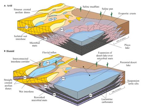 Depositional Models For Arid Or Humid Climates Which Show The