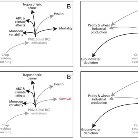 Constructing A Causal Loop Diagram From The Central Element Here