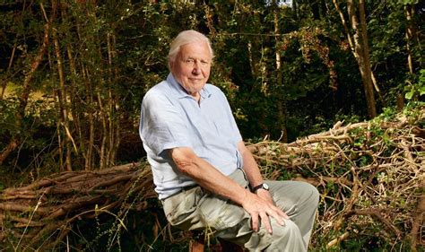 Planet Earth Iii Producer Sets Record Straight On Interfering With Nature When Filming Tv