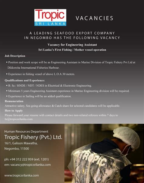 Engineering Assistant