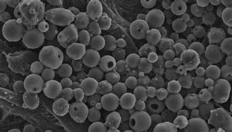 Sio2fitc复合纳米微球aie荧光分子杂化介孔二氧化硅杂化纳米微球荧光ag纳米簇 Sio2纳米微球的性能分析量子点二氧化硅微球