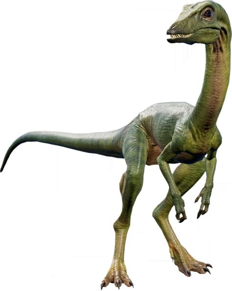 Compsognathus Jurassic World Dinosaurs Dinosaur Pictures