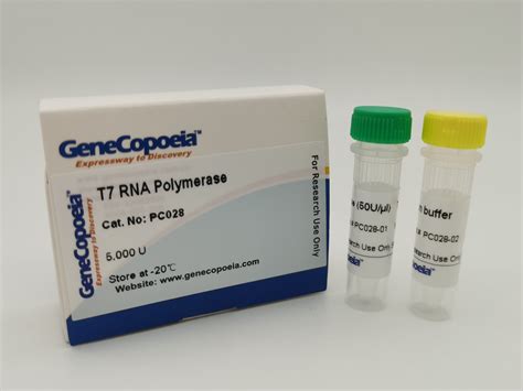 T7 Rna Polymerase Reagents And Kits Genecopoeia™