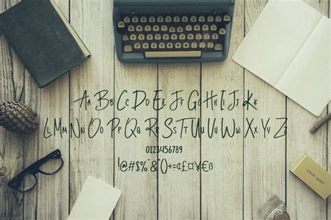 Bird House Script 43210 Logo Font Bundles