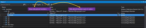 Filter Pinned Members In Watch Window Debugging Tip Daily Net Tips