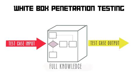 A Comprehensive Guide To Types Of Penetration Testing Wattlecorp Cybersecurity Labs
