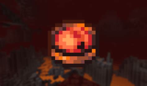 Seeker Compass Gallery