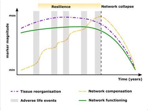 Figure 2 From Brain Networks Reorganization During Maturation And