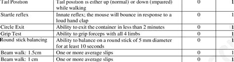 Modified Neurological Severity Scoring Mnss Task Description Success
