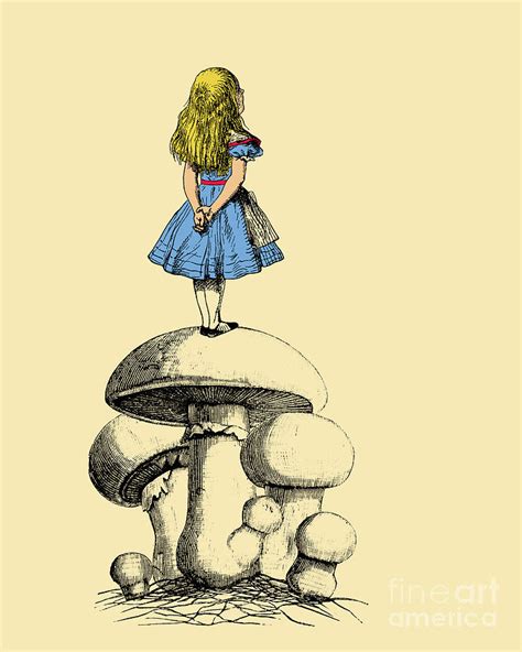 Alice On A Mushroom Digital Art By Madame Memento Pixels Merch