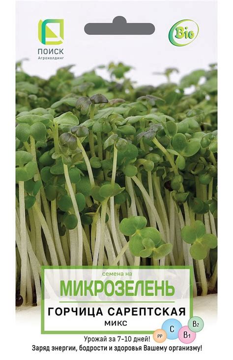 Микрозелень — урожай за 10 дней — Ботаничка