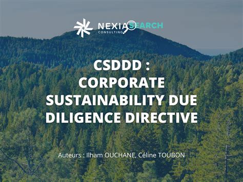 Csddd Corporate Sustainability Due Diligence Directive Nexialog