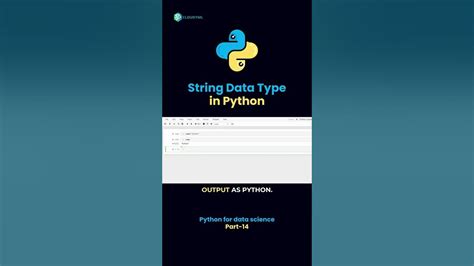 The Expert Guide To String Data Type In Python Youtube