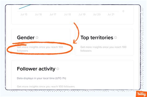 TikTok Analytics Steps Strategies Success Bitly