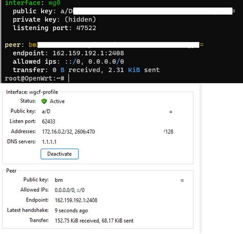 Help Me To Setup Wireguard Network And Wireless Configuration