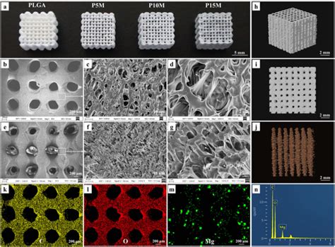 Biomaterials：通过低温沉积3d打印技术构建了plga Mg复合支架，用于os的综合术后治疗 知乎