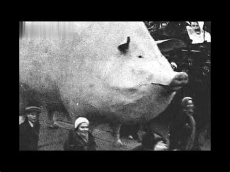 царь бiмба - YouTube
