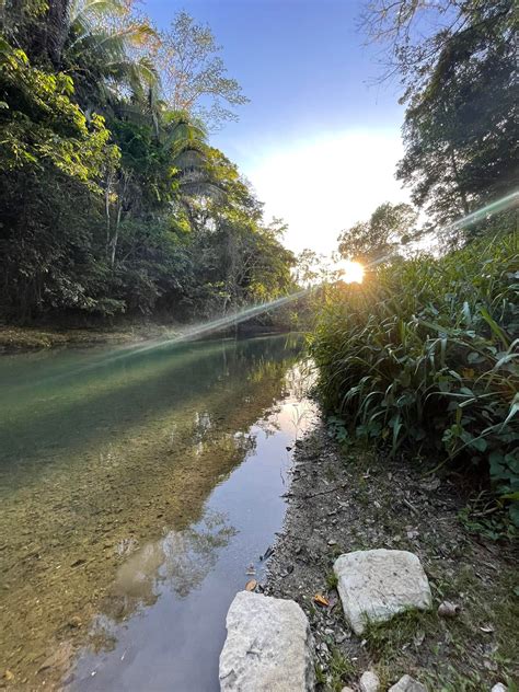 Trees That Feed Foundation Trees That Feed Foundation
