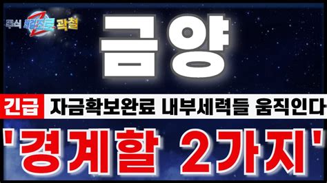 금양 주가 전망 11월 05일 긴급속보 자금확보완료 수상한 수급의 움직임 미대선 결과전 경계할 2가지 이 구간 반드시 확인하세요 금양 금양 주가전망 2