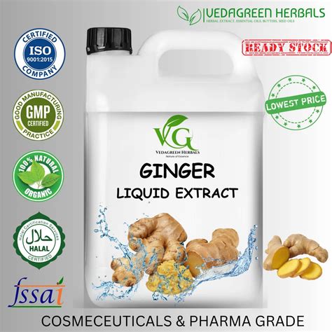 Ginger Liquid Extract At ₹ 350 Kg Ginger Root Extract In New Delhi Id 2854223749473