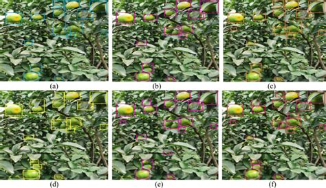 tangerine s detection results in the six test methods a faster rcnn