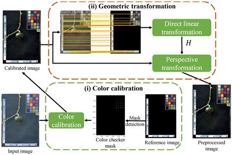 Adapting The Segment Anything Model For Plant Recognition And Automated Phenotypic Parameter