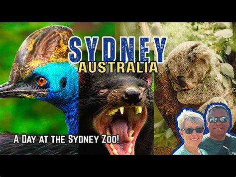 The Ultimate Guide To Installing Enb For Skyrim Modding In 2024