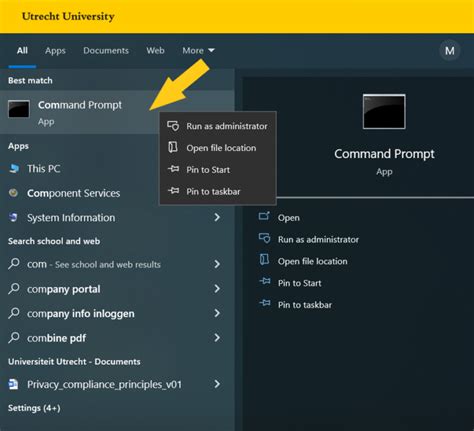Geo Data Support For Researchers Accessing Yoda