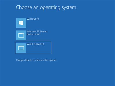 How To Add Winpe To Windows Boot Menu With Hasleo Easyuefi