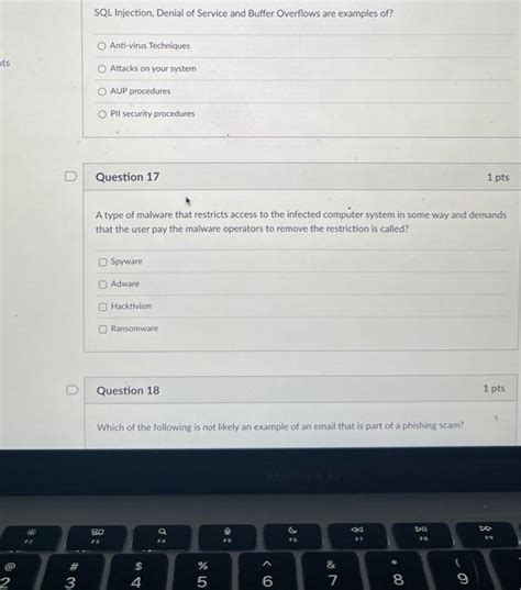 Solved Sql Injection Denial Of Service And Buffer Overflows