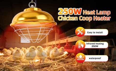 Nirvix 250w Chicken Coop Heater Brooder Heat Lamp For