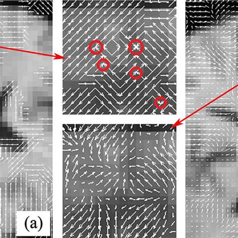 Gaussian Kernels Designed For Different Image Local Structures A Two