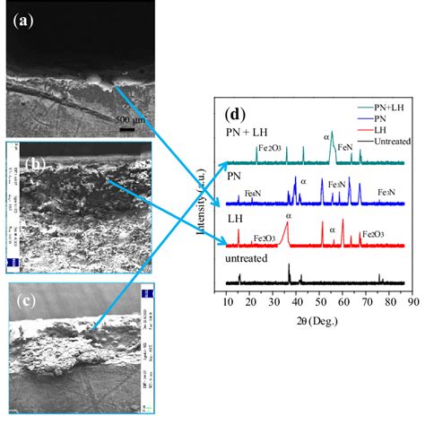 Sem Images Produced By A Pn B Lh C Duplex Process And D Xrd Download Scientific