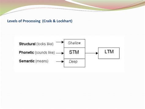 Ppt Levels Of Processing Memory Model Overview Powerpoint