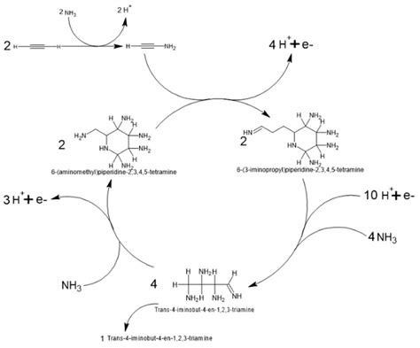 Carbon Fixation Pathway That Some Organisms In My Project Use Info In