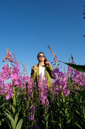 꽃밭에 모자를 쓰고 웃고 있는 젊은 여자 행복 자연 여름 휴가 개념 속 편함에 대한 스톡 사진 및 기타 이미지 속 편함 춤 30 34세 Istock
