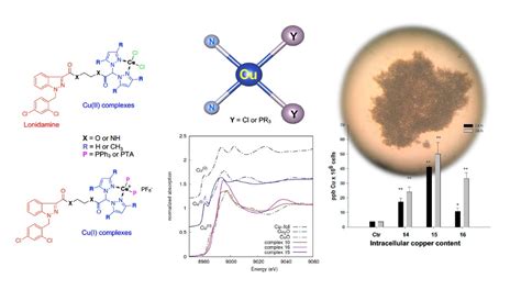 Copper Complexes Against Multi Drug Resistant Solid Tumours Ceric