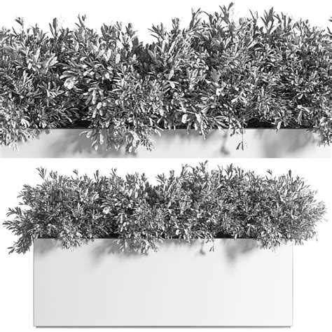 Outdoor Plants Tree In Concrete Box D Model For VRay Corona