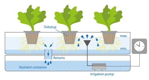 Ebb And Flow Sytem [1] Download Scientific Diagram