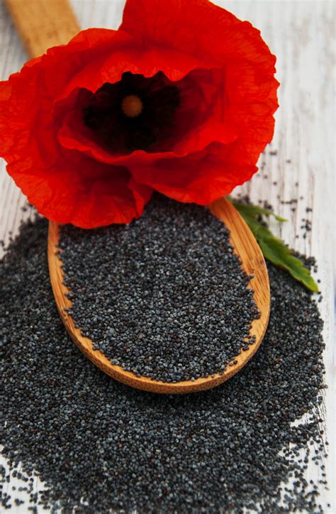 מלית פרג ענבי ציון פירות מסוכרים קונפיטורות