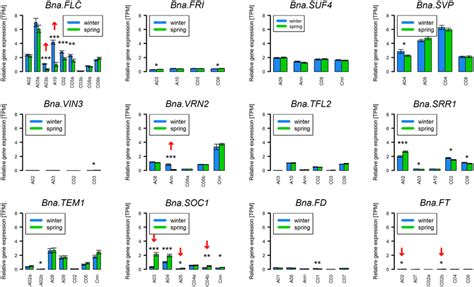 Normalized Gene Expressed Levels Tpm From Rnaseq Data For 12