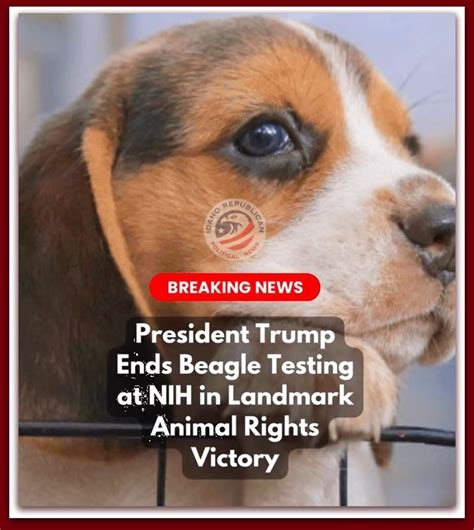 Red 😍 😍 😍 Facebook