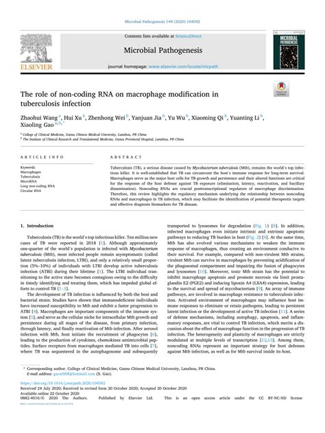 Pdf The Role Of Non Coding Rna On Macrophage Modification In Tuberculosis Infection