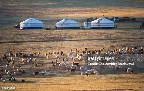 Kazakh Steppes Photos And Premium High Res Pictures Getty Images