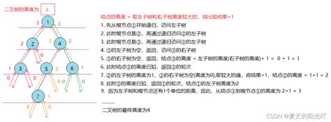 二叉树习题汇总二叉树练习题 Csdn博客