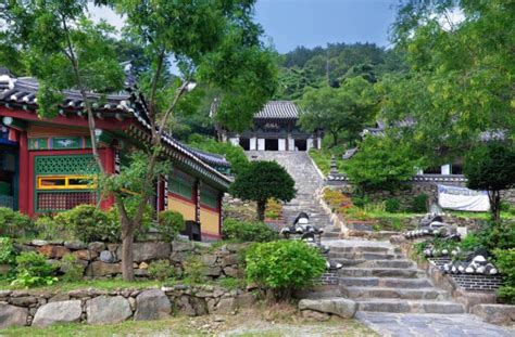 안성 출신 연예인 프로필 모음 아이돌 가수 배우 여배우 남배우 여자 배우 남자 배우 남자 연예인 여자 연예인 여가수 남가수 야구선수 축구선수 개그맨