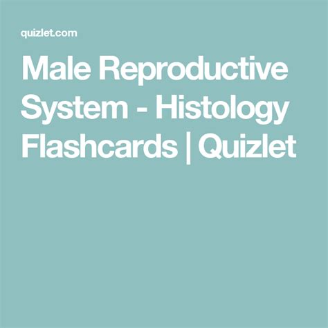 Biology Chapter 1 Quizlet Jobs Talking Flashcards Flashcard