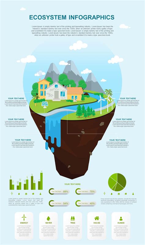 Editable Ecosystem Infographic Template