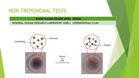 Laboratory Diagnosis Of Syphilis Pptx Infectious Diseases